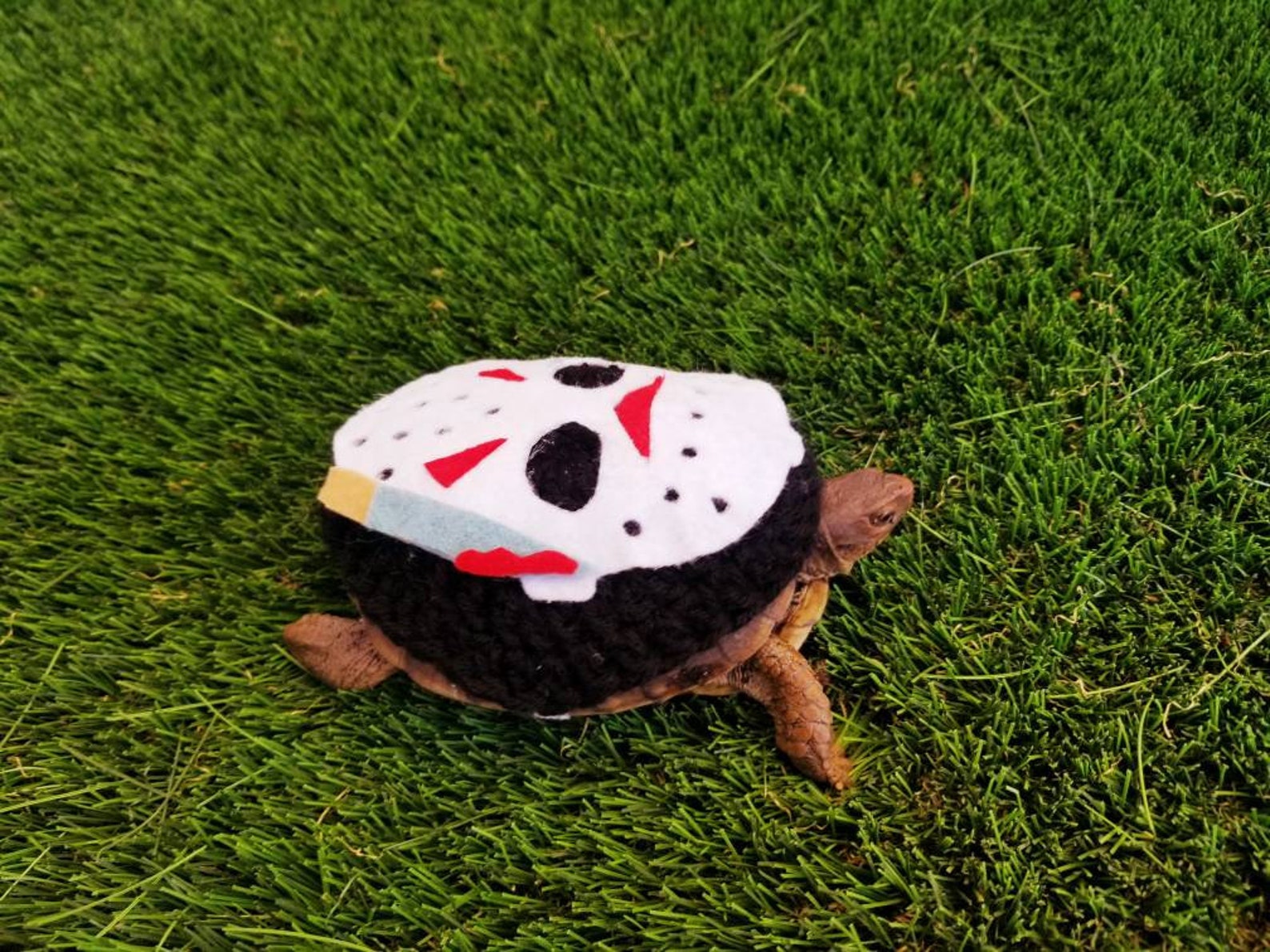 Scary Movie Inspired Costume for Turtles/ Tortoises - Etsy