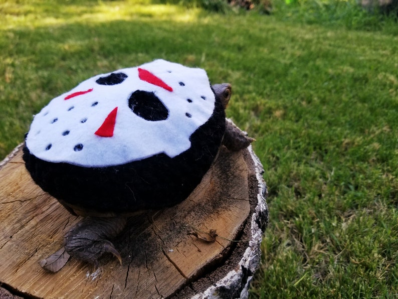 Scary Movie Inspired Costume for Turtles/ Tortoises - Etsy