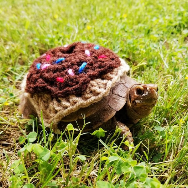 Sea Turtle Costume - Etsy