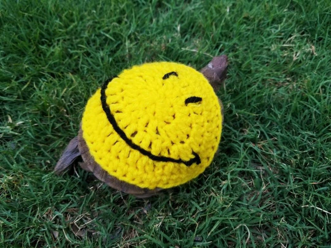 Smiley Face Costume for Turtles/tortoises - Etsy