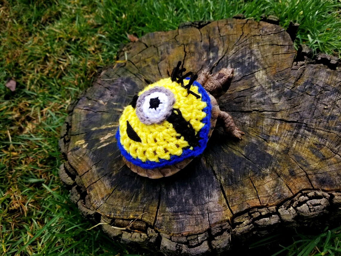 Minion Inspired Costume for Turtles/Tortoises | Etsy