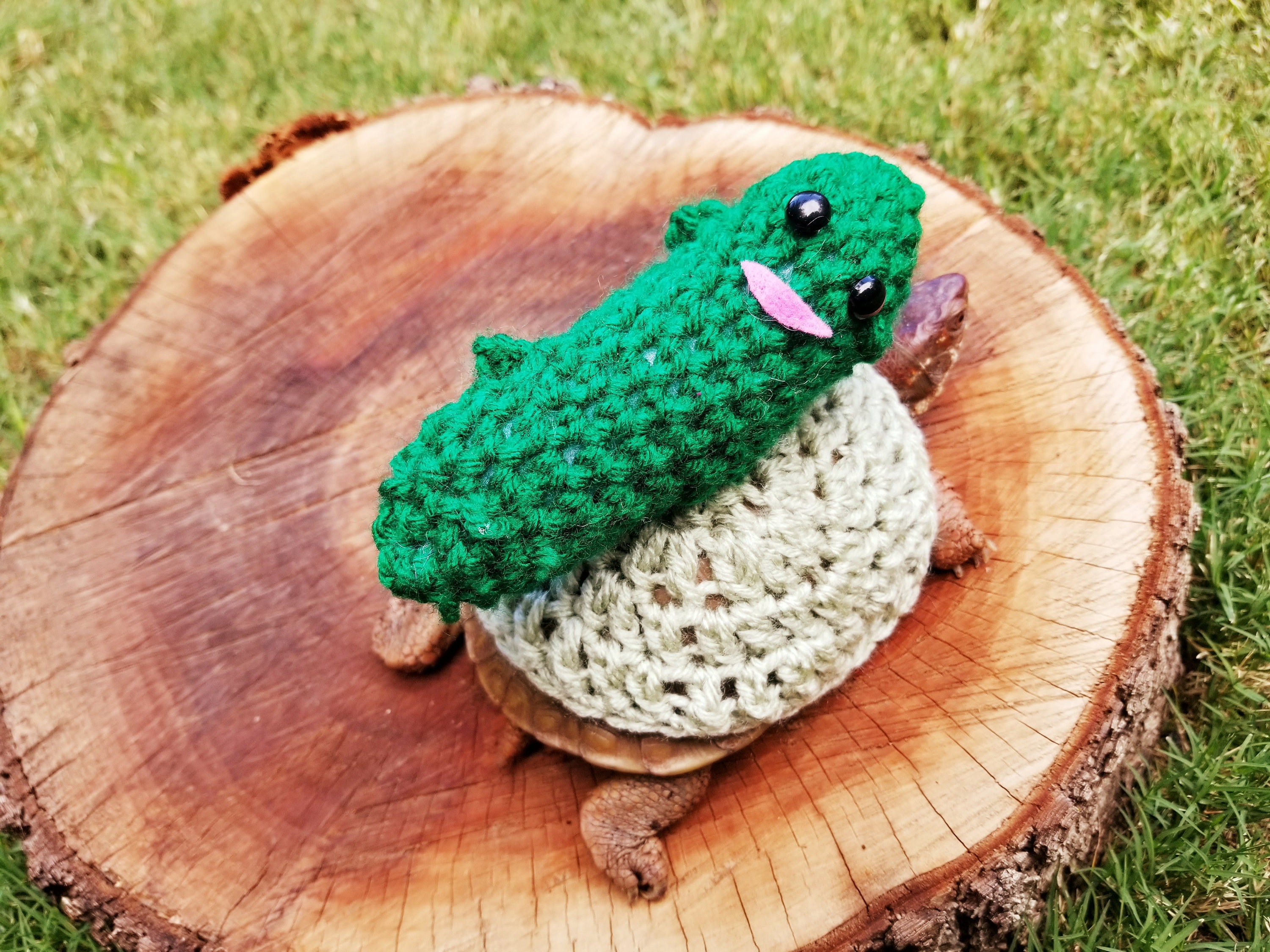 Mr. Pickle Inspired Crochet Costume for Turtles/ Tortoises | Etsy