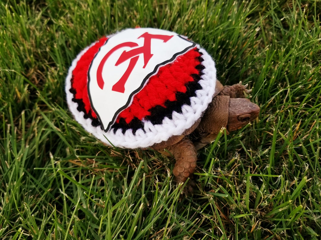 Football Team Inspired Costume for Turtle/ Tortoise - Etsy
