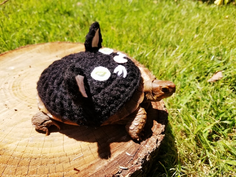 Black Cat Costume for Turtle/tortoises - Etsy