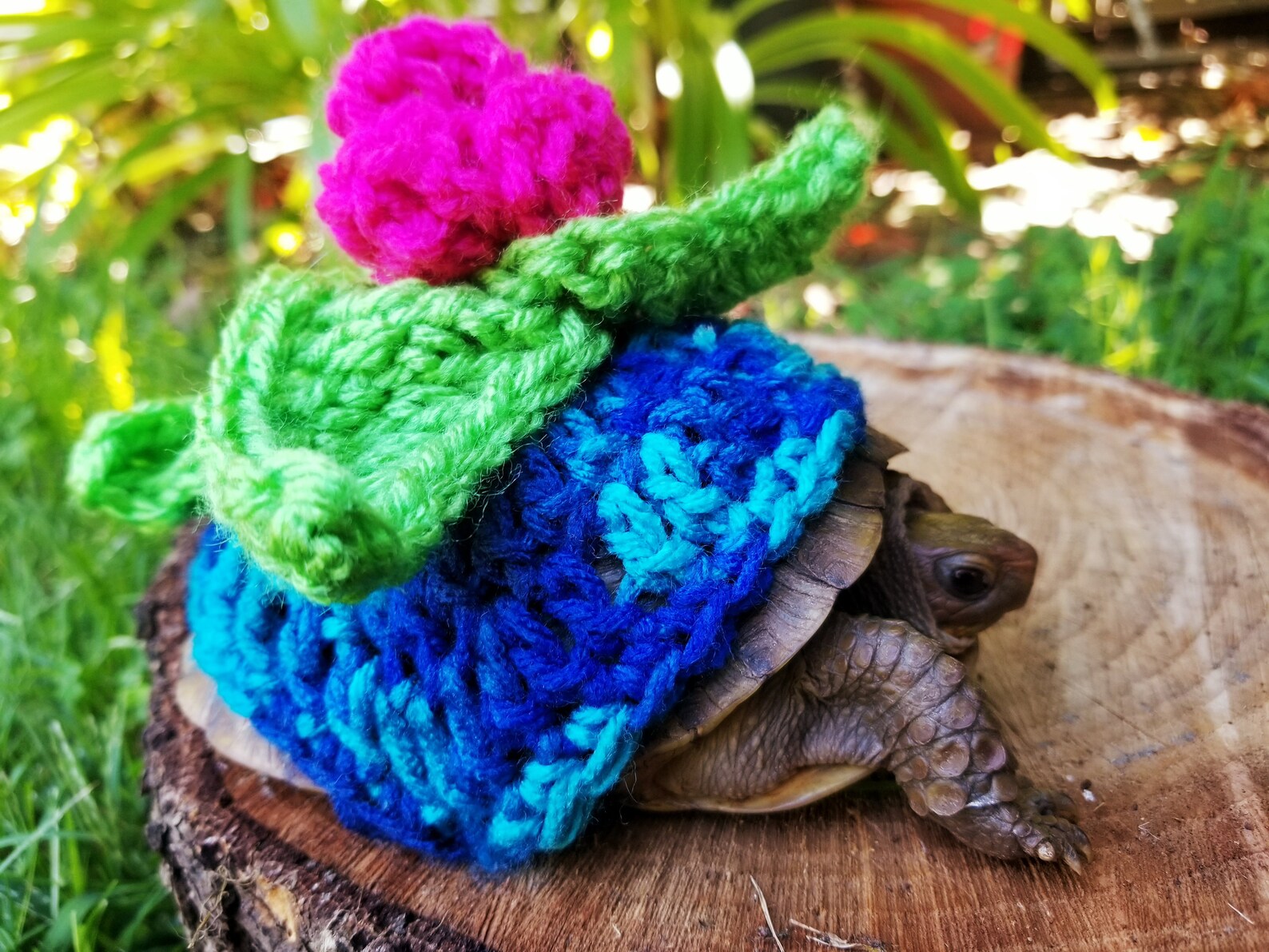 Ivysaur Inspired Costume for Turtle/tortoises - Etsy