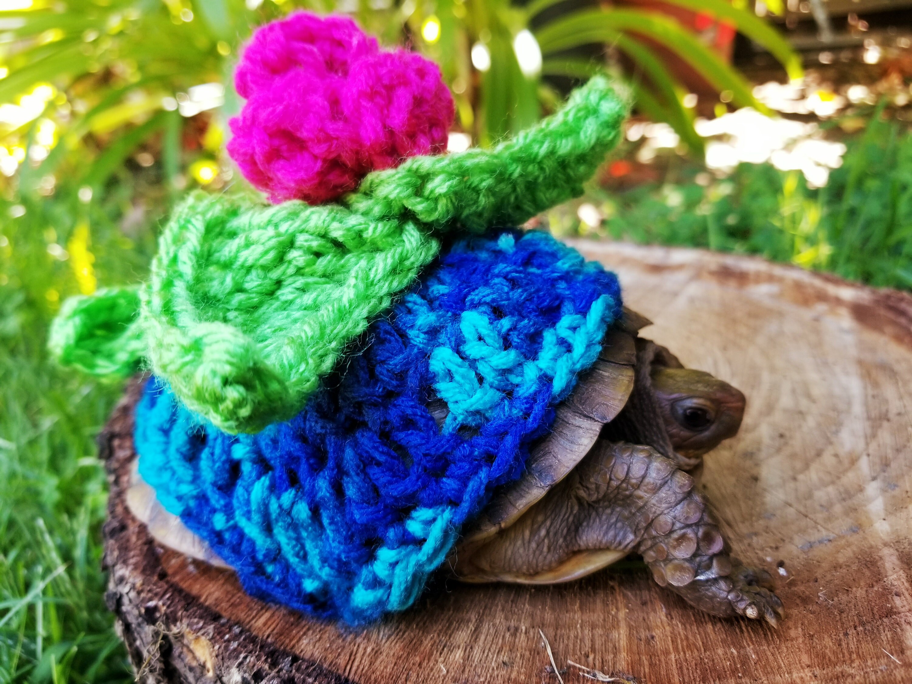 Ivysaur Inspired Costume for Turtle/Tortoises | Etsy
