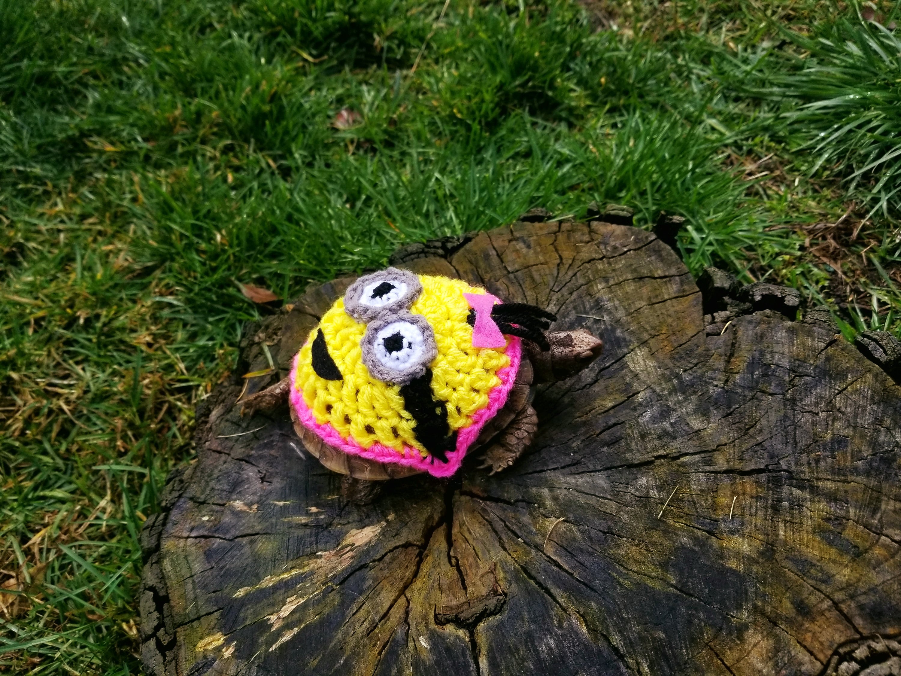 Minion Inspired Costume for Turtles/tortoises - Etsy