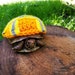 Safety Vest Crochet Costume for Turtle/tortoises - Etsy