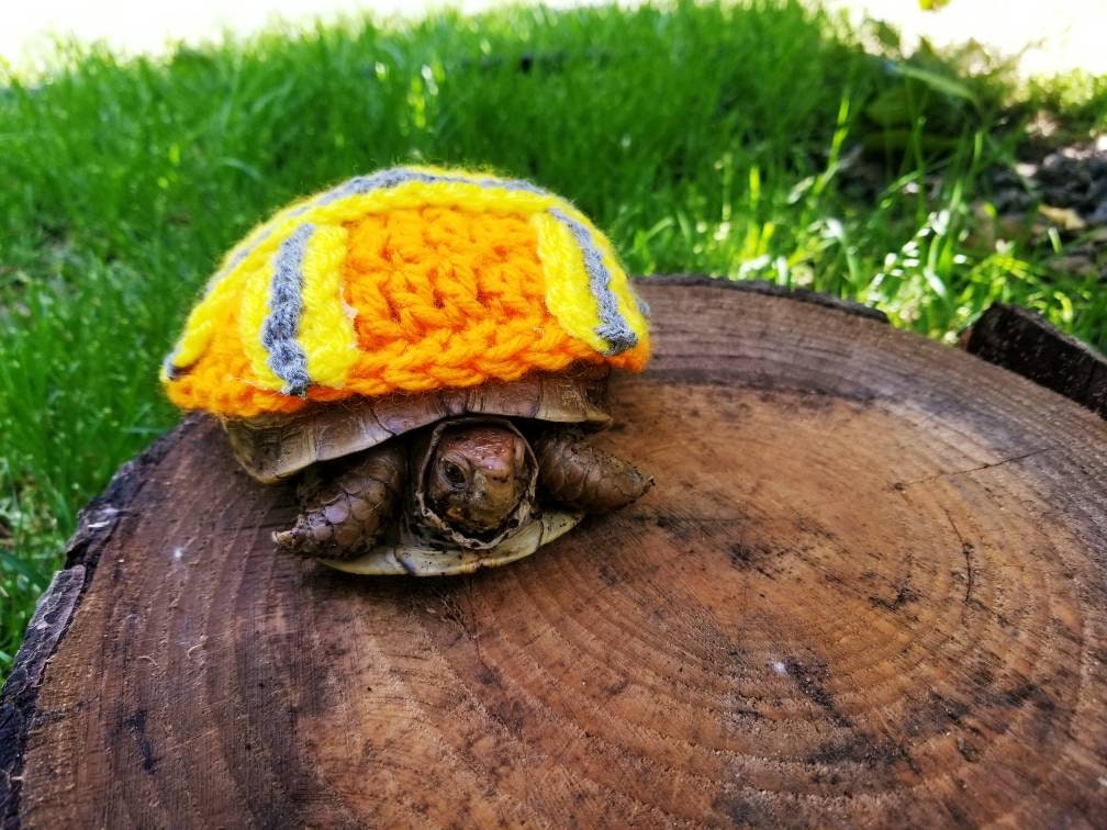 Safety Vest Crochet Costume for Turtle/Tortoises | Etsy