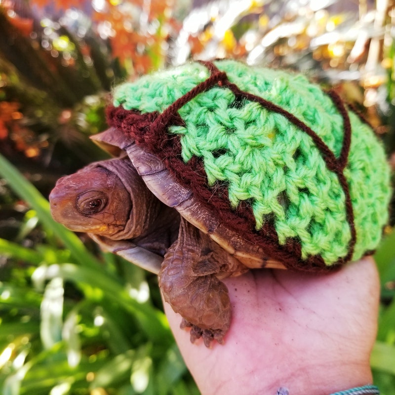 Turtle Shell Costume - Etsy