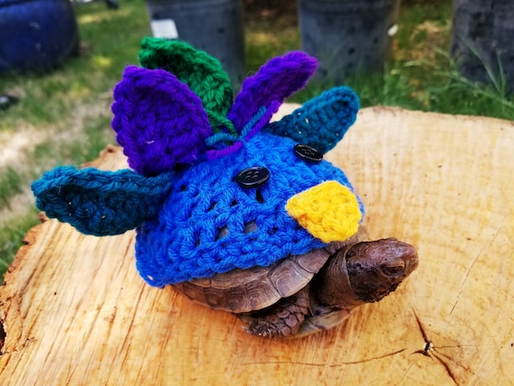 Peacock Inspired Crochet Costume for Turtles/ Tortoises | Etsy