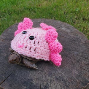Axolotl Inspired Crochet Costume for Turtles/ Tortoises - Etsy