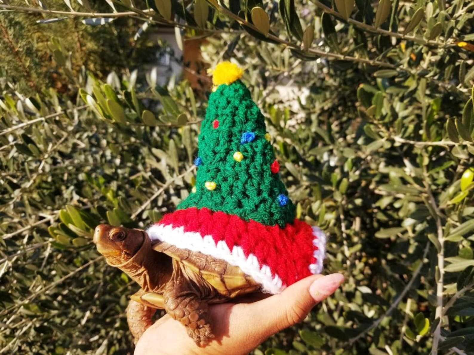 Christmas Tree Crochet Costume for Turtle/Tortoises | Etsy