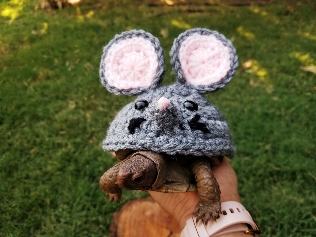 Gray Mouse Inspired Crochet Costume for Turtles/ Tortoises - Etsy