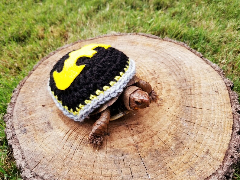 Superhero Inspired Turtle/tortoise Crochet Costume - Etsy