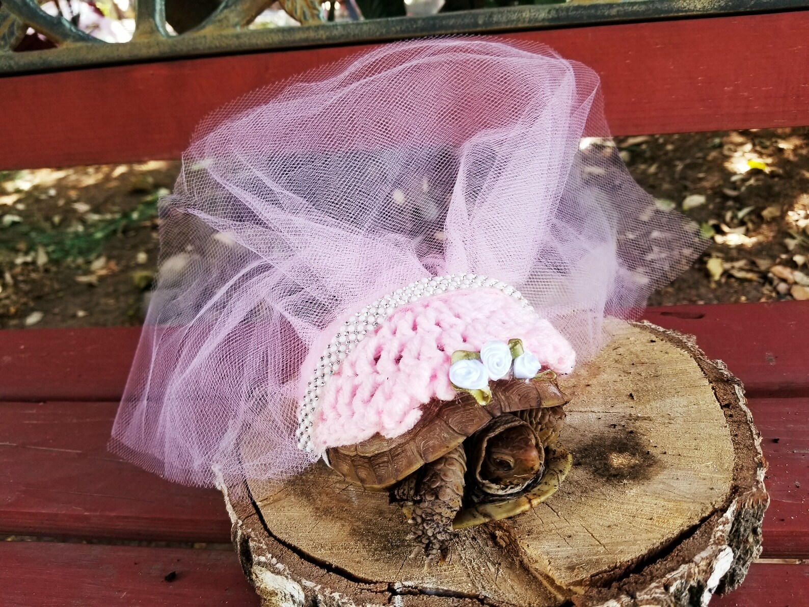 Bridesmaid Dress Crochet Costume for Turtles/ Tortoises - Etsy