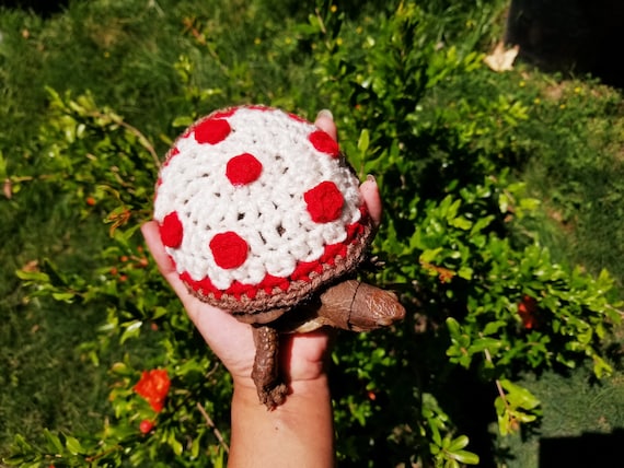 Pepperoni Pizza Costume for Turtle/Tortoises | Etsy