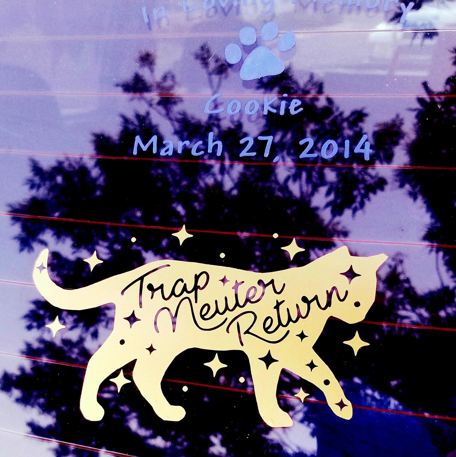 Trap, Neuter and Return (TNR) Decal (ON SALE) | Application ...