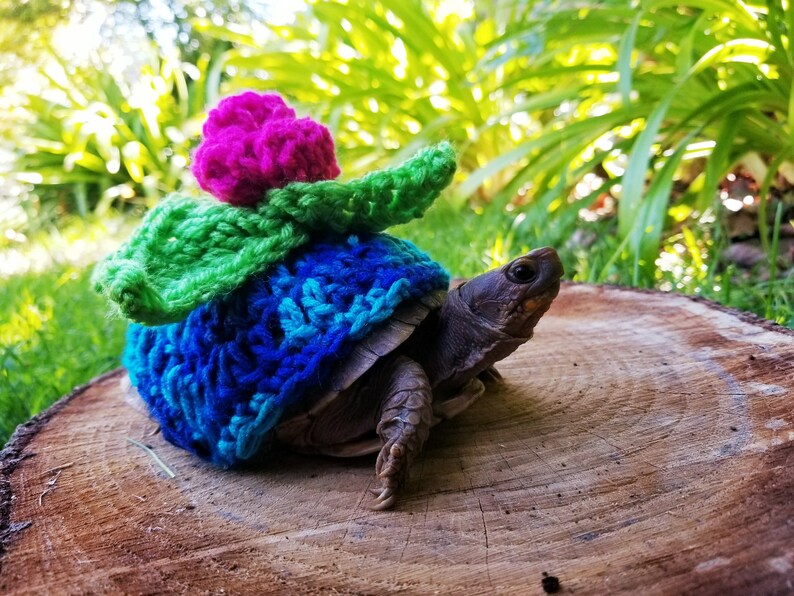 Ivysaur Inspired Costume for Turtle/tortoises - Etsy