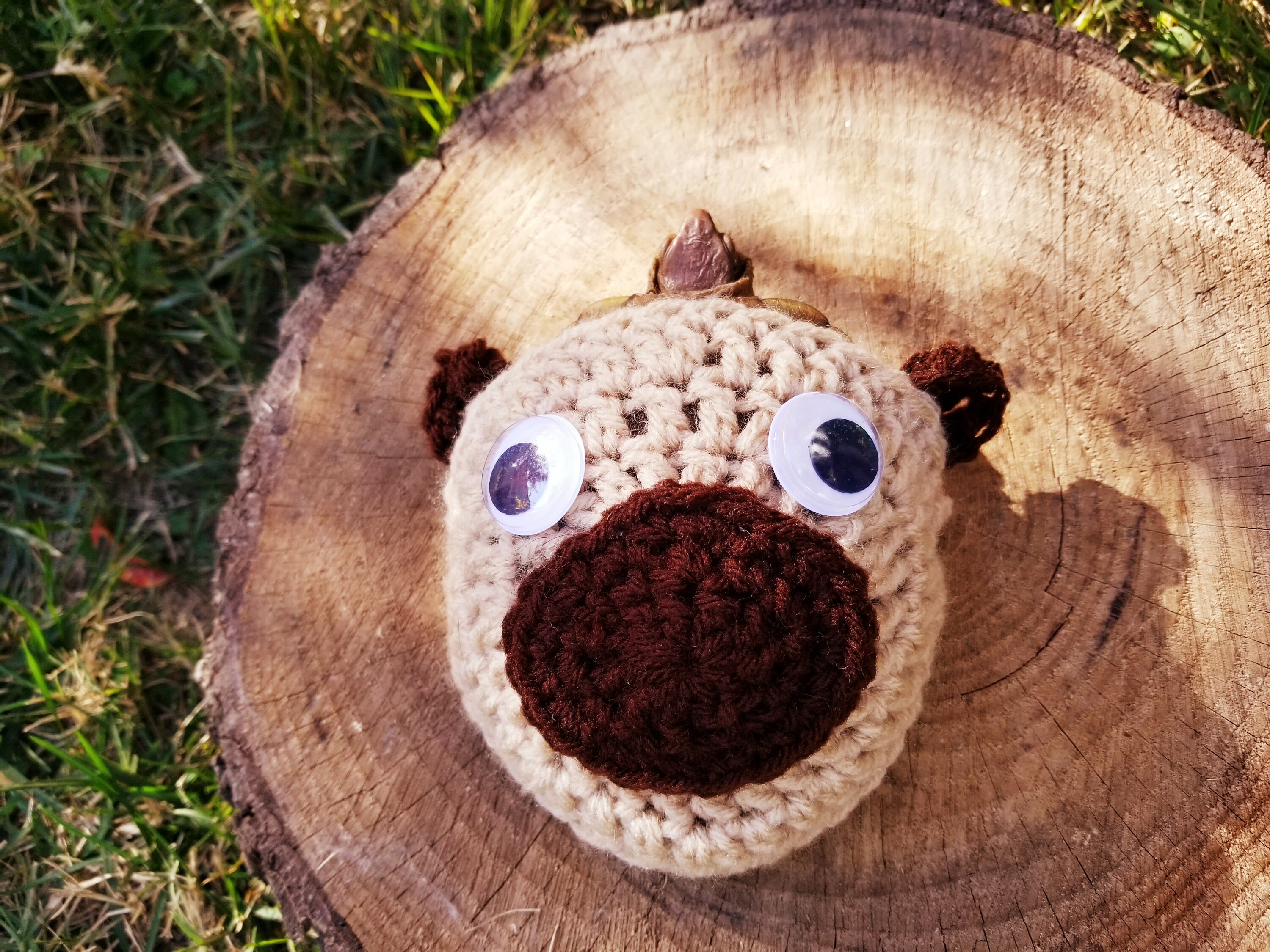 Pug Face Crochet Costume for Turtle/tortoises - Etsy