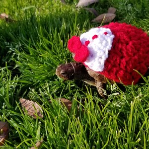 Turtle/ Tortoise Tuxedo Costume - Etsy