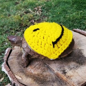 Smiley Face Costume for Turtles/tortoises - Etsy