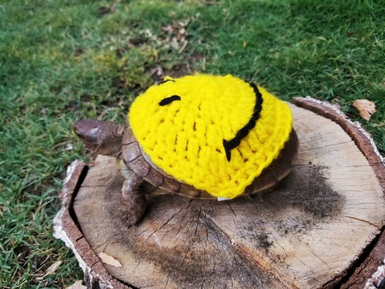 Smiley Face Costume for Turtles/tortoises | Etsy