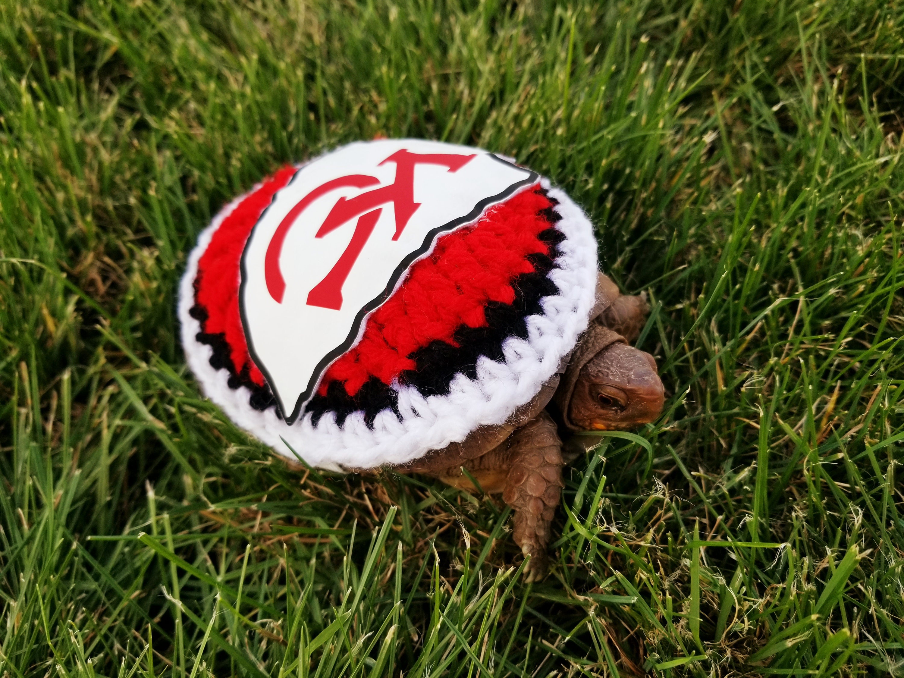 Football Team Inspired Costume for Turtle/ Tortoise - Etsy
