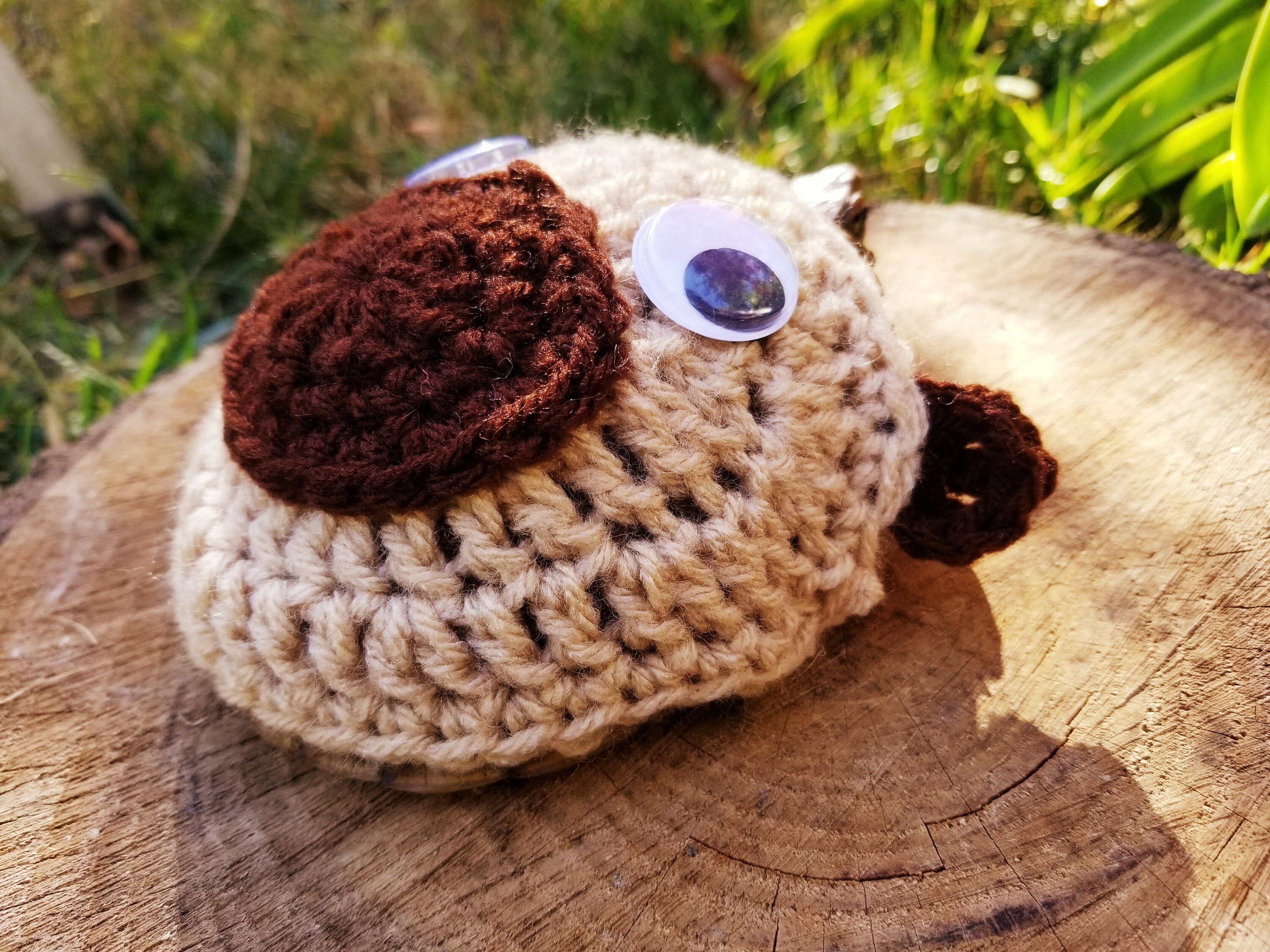 Pug Face Crochet Costume for Turtle/tortoises - Etsy