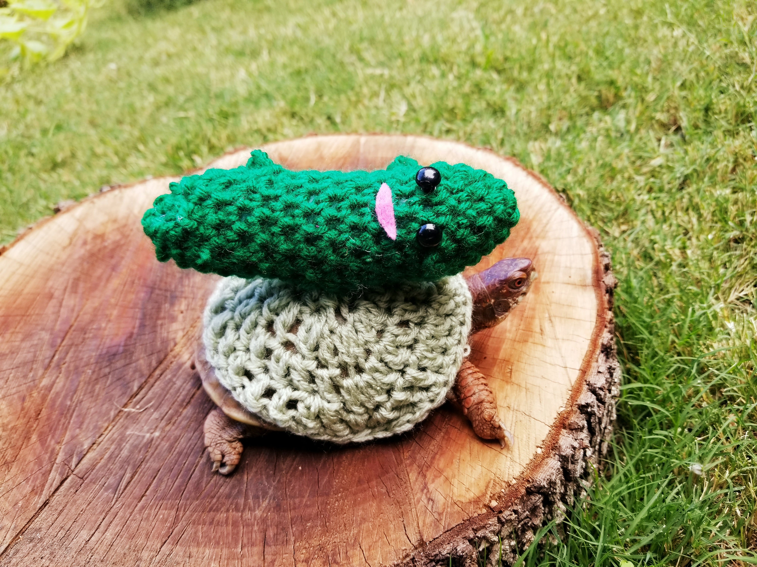 Mr. Pickle Inspired Crochet Costume for Turtles/ Tortoises | Etsy
