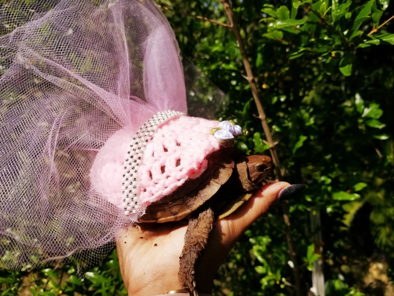 Bridesmaid Dress Crochet Costume for Turtles/ Tortoises - Etsy