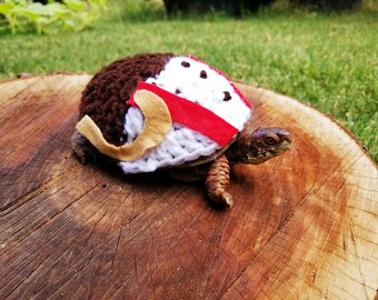 Crab Inspired Crochet Costume for Turtles/ Tortoises | Etsy