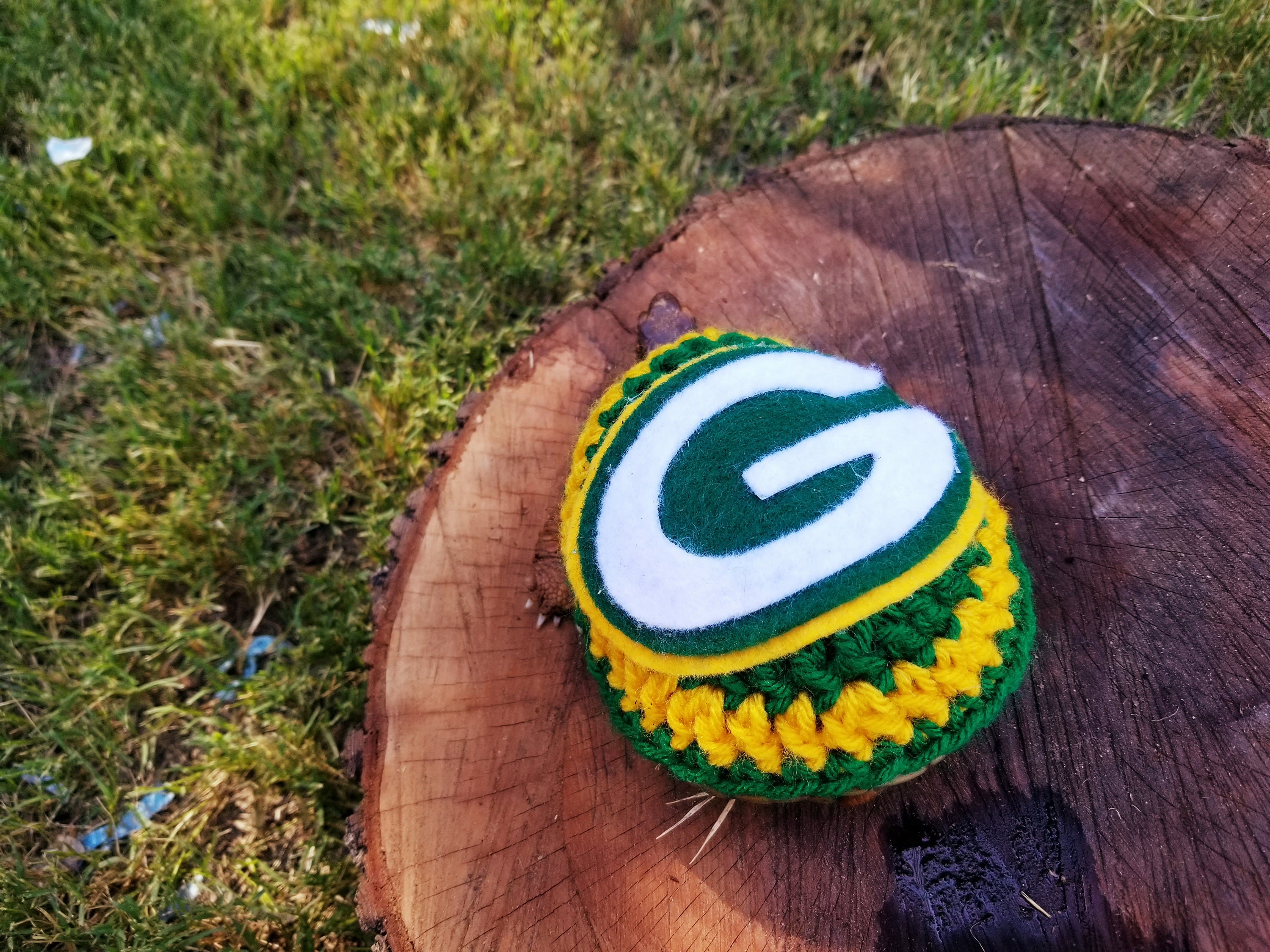 Football Team Inspired Costume for Turtles/ Tortoises | Etsy