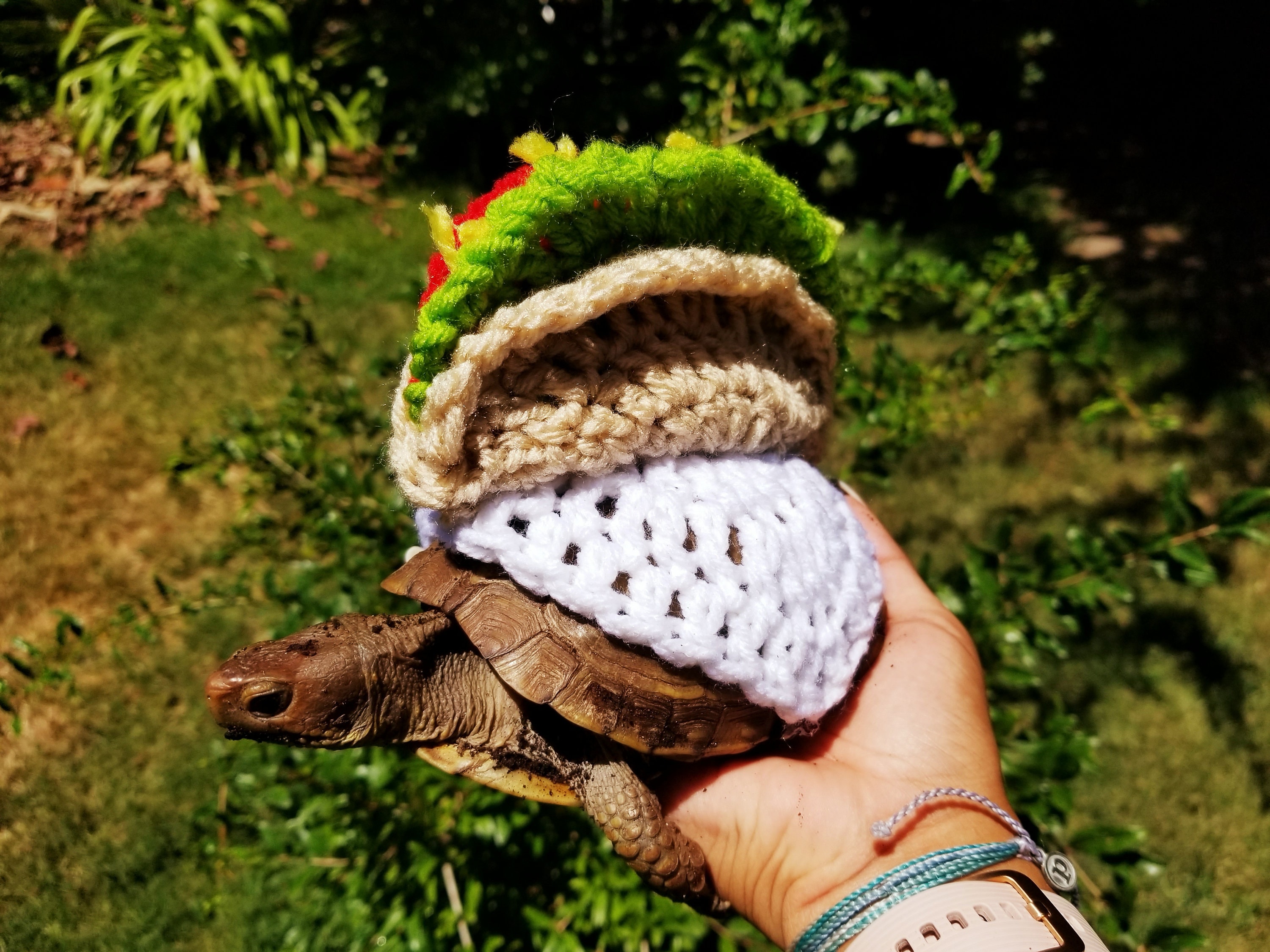 Crochet Street Taco Costume for Turtles/ Tortoises | Etsy