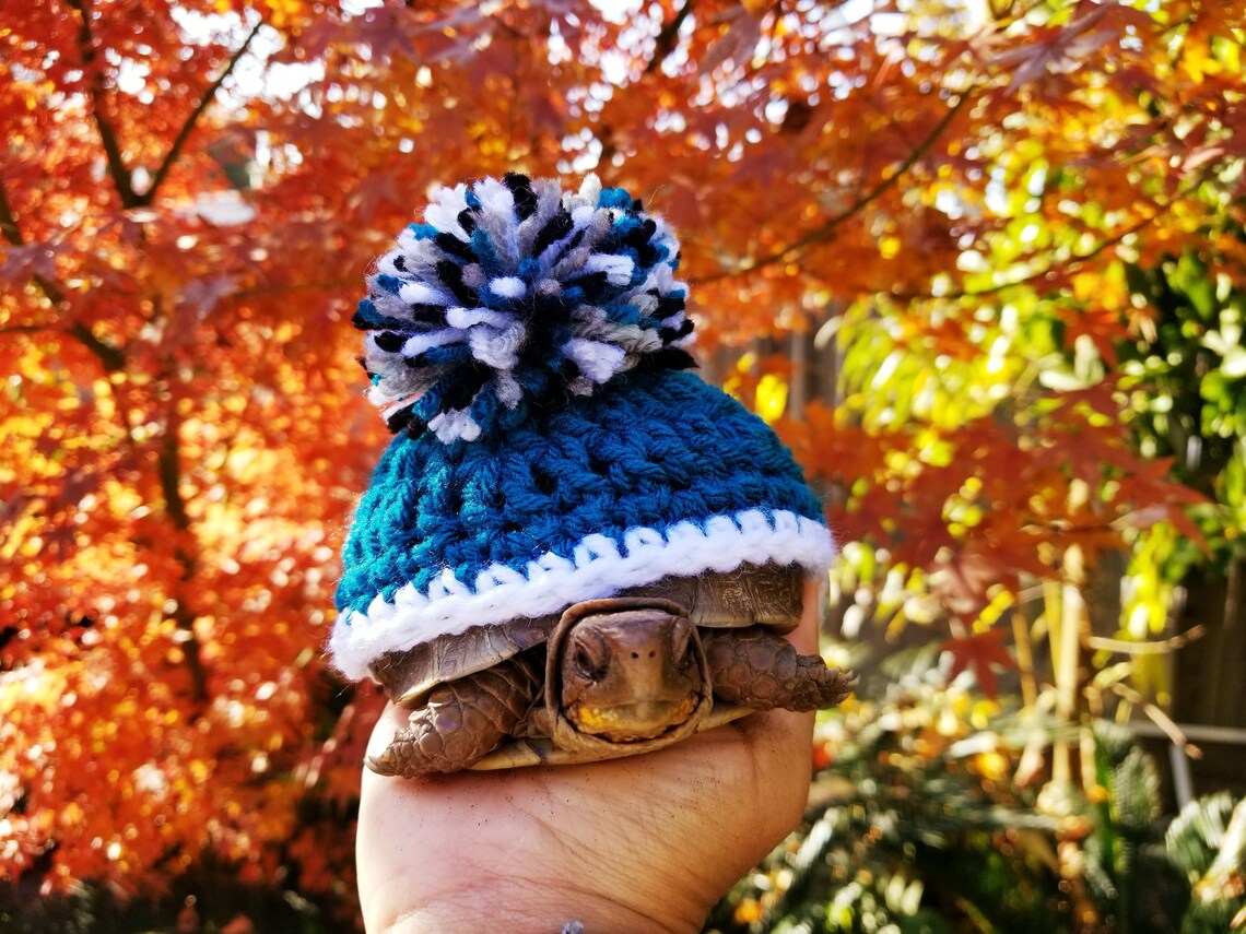 Festive Pom Pom Turtle/ Tortoise Costume | Etsy