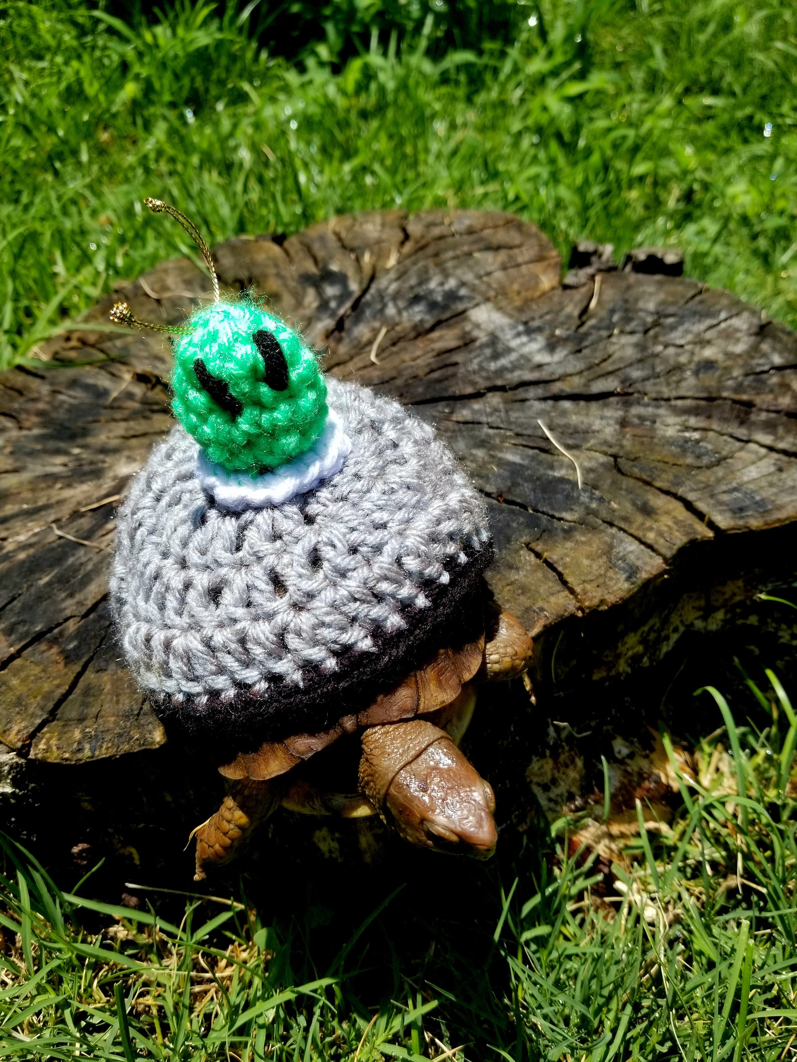 Alien in Spaceship Costume for Turtle/Tortoises | Etsy