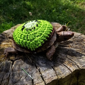 Crochet Kiwi Costume for Turtles/ Tortoises - Etsy