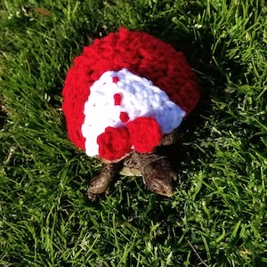 Turtle/ Tortoise Tuxedo Costume - Etsy