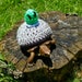 Alien in Spaceship Costume for Turtle/tortoises - Etsy