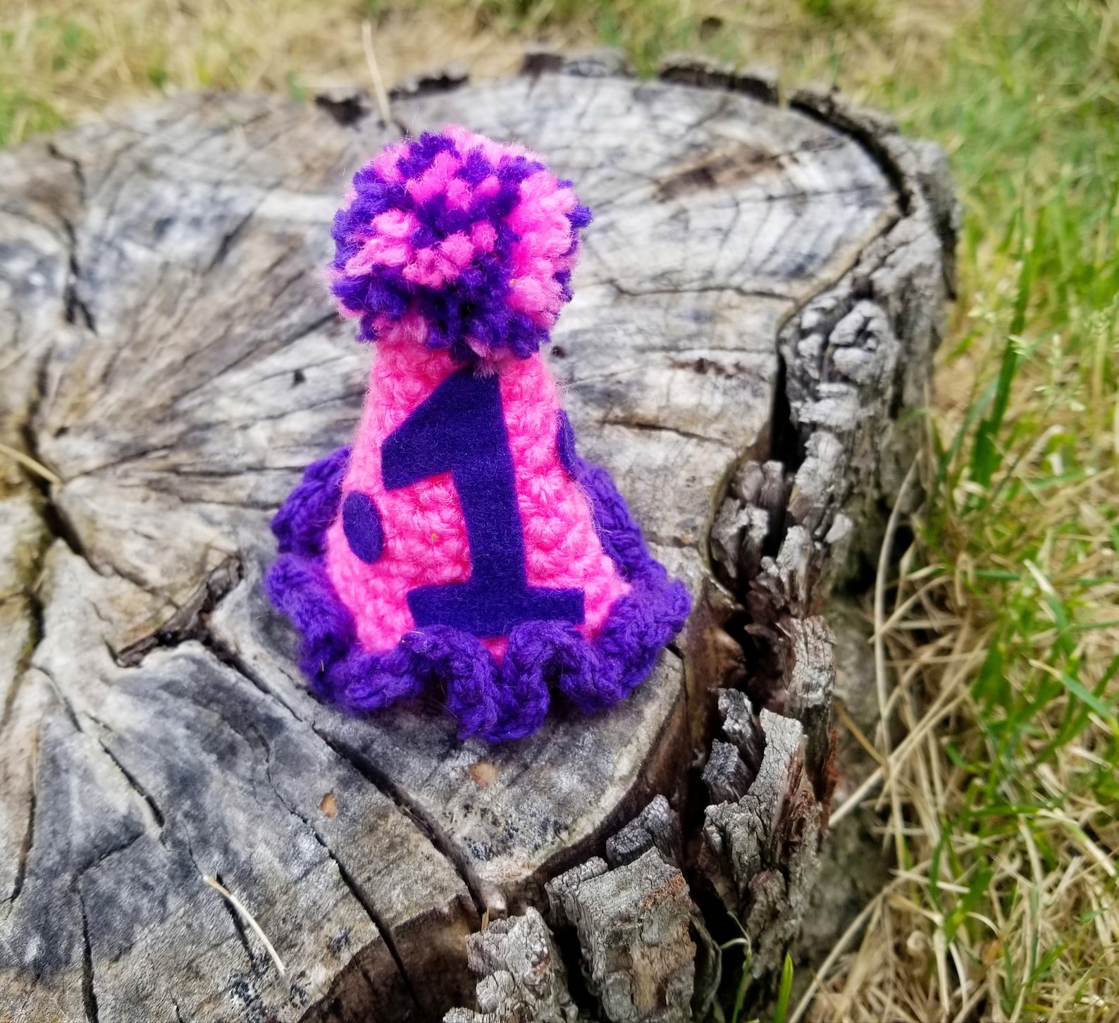 Birthday Hat Costume for Turtles/tortoises | Etsy