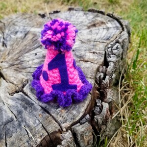 Birthday Hat Costume for Turtles/tortoises - Etsy