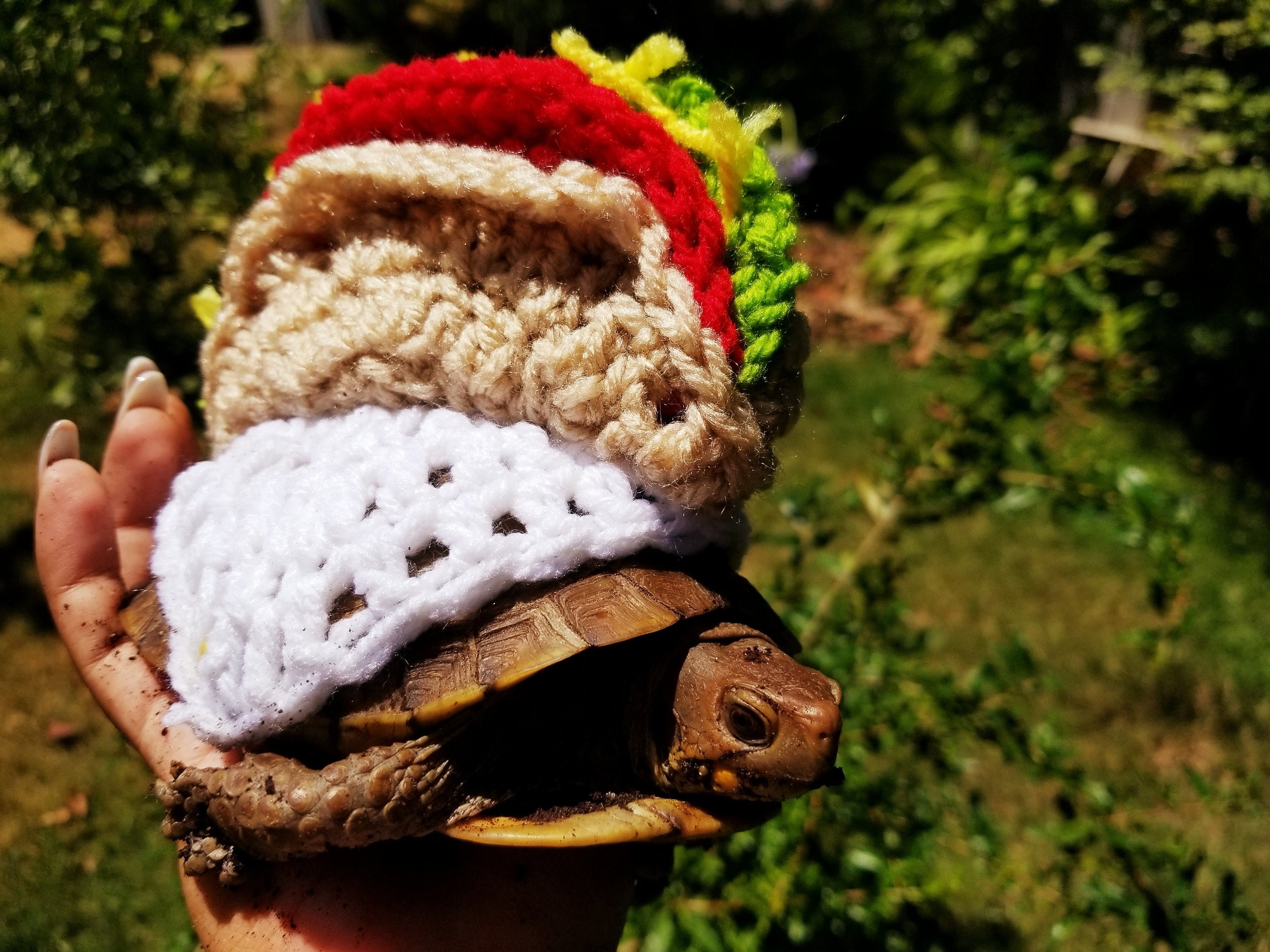 Crochet Street Taco Costume for Turtles/ Tortoises | Etsy