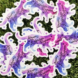 Atrapa, Esteriliza Y Regresa | Trap, Neuter and Return (TNR) Galaxy ...