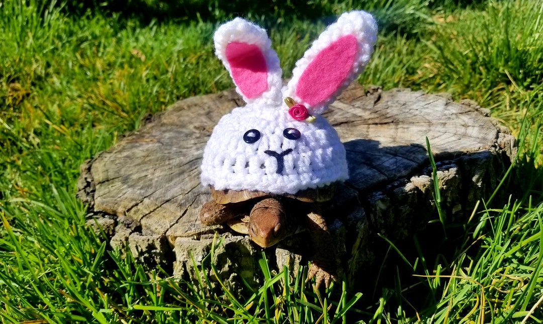 Bunny Rabbit Costume for Turtle/ Tortoise - Etsy