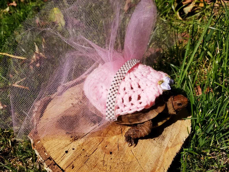 Bridesmaid Dress Crochet Costume for Turtles/ Tortoises - Etsy