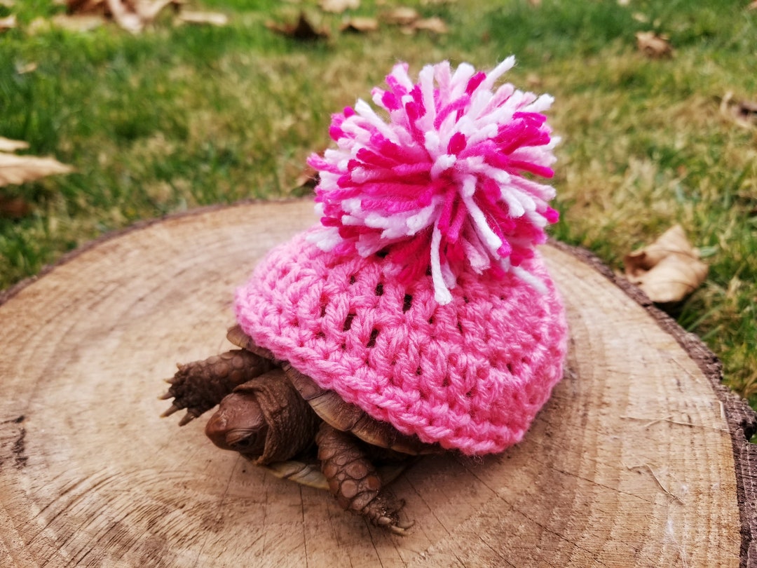 Festive Pom Pom Turtle/ Tortoise Costume - Etsy
