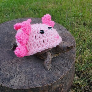 Axolotl Inspired Crochet Costume for Turtles/ Tortoises - Etsy