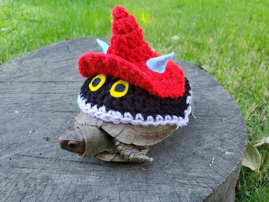 Character Inspired Crochet Costume for Turtles/ Tortoises - Etsy