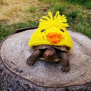 Chick Crochet Costume for Turtle/ Tortoise Costume - Etsy