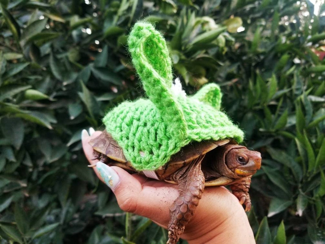 Yoda Ears Inspired Costume for Turtle/tortoises - Etsy